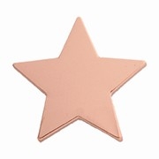 BRONZE STAR ENAMEL BADGE - trophyman.co.uk