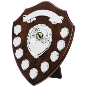 9 YEAR PRESENTATION SHIELD - trophyman.co.uk