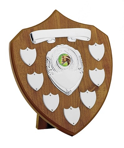 7 YEAR PRESENTATION SHIELD - trophyman.co.uk