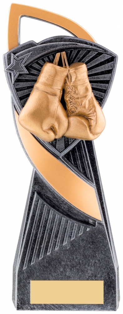 BOXING TROPHY - trophyman.co.uk