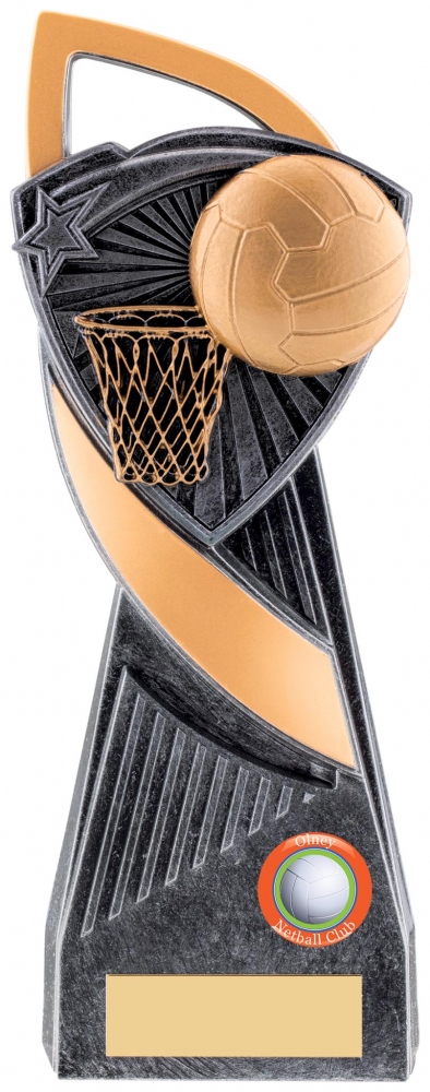 NETBALL TROPHY - trophyman.co.uk