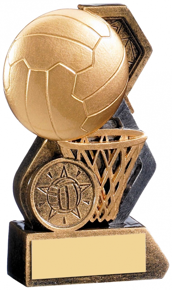 NETBALL TROPHY - trophyman.co.uk