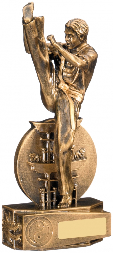 MARTIAL ARTS TROPHY - trophyman.co.uk